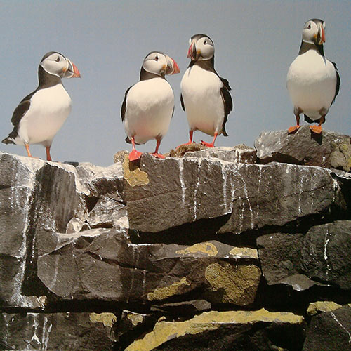 Prestige Holiday Homes